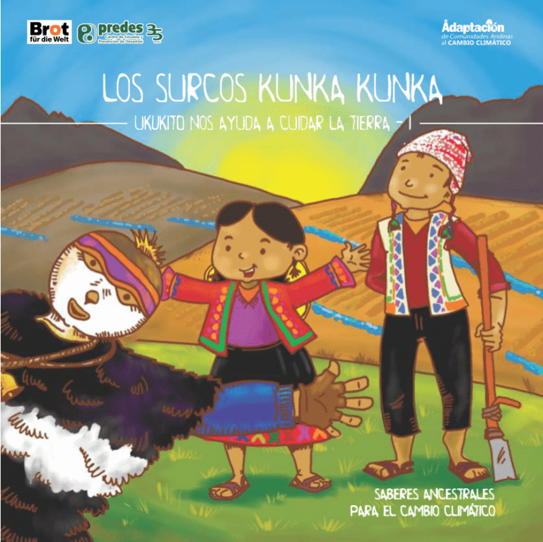 Publicaciones | PREDES